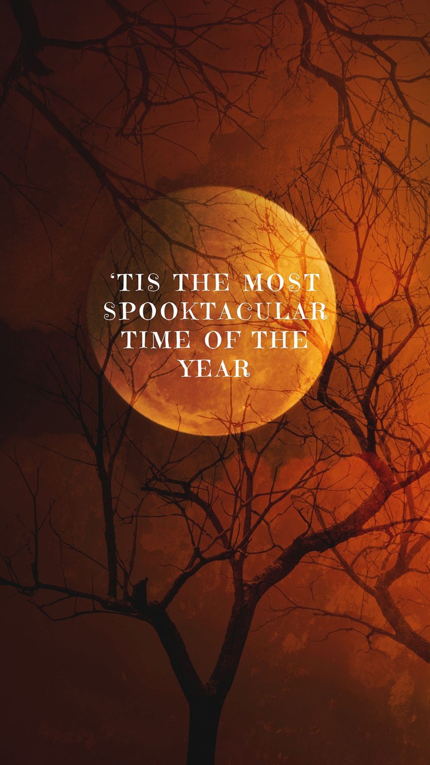 22 Best Halloween Quotes and Sayings with photos » Life with Alba